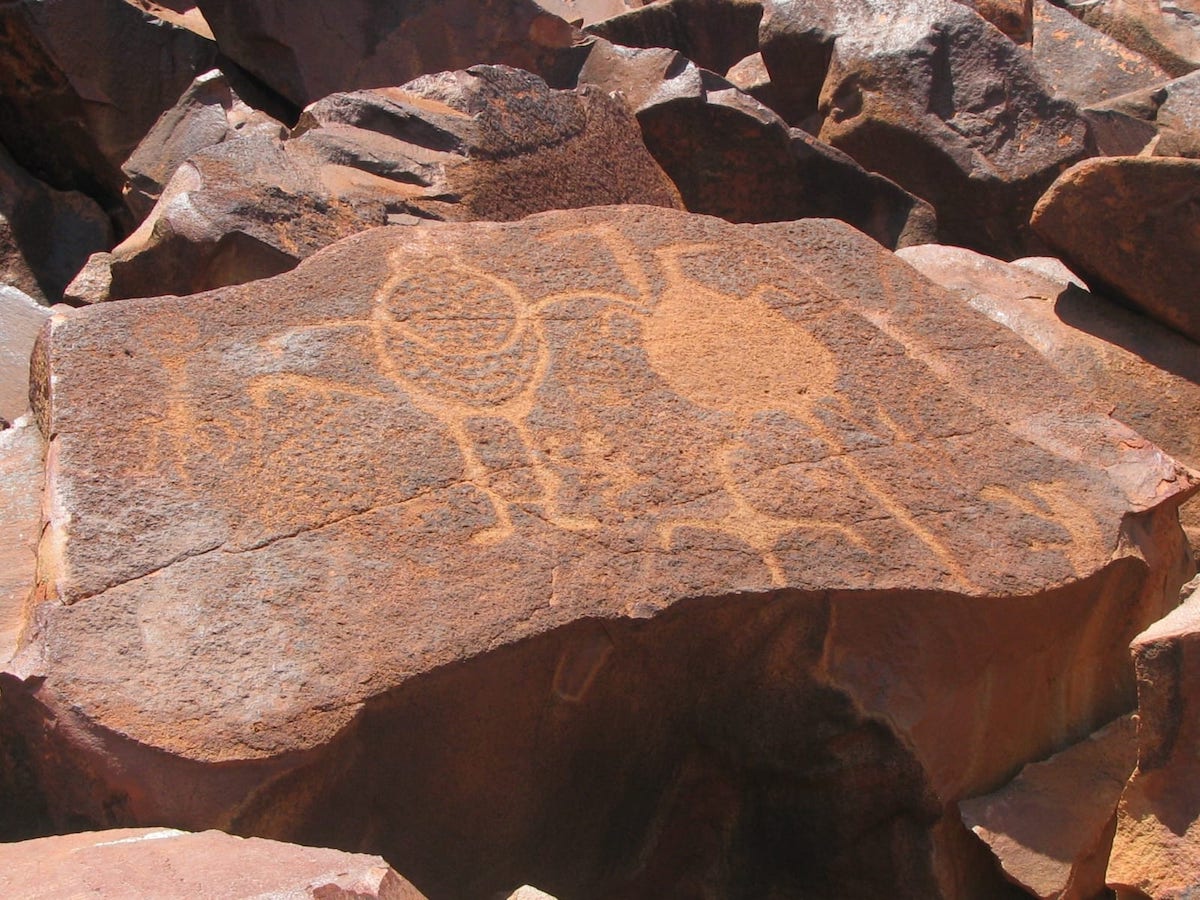 Become an instant expert on…Australian Aboriginal art | The Arts Society