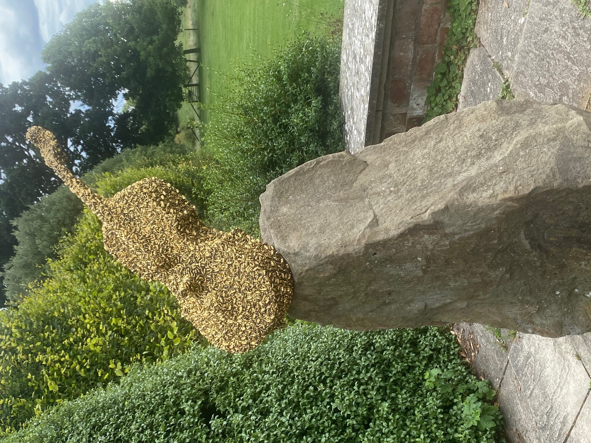 The Arts Society Kington Langley Summer Visit to LONGFORD CASTLE AND ...