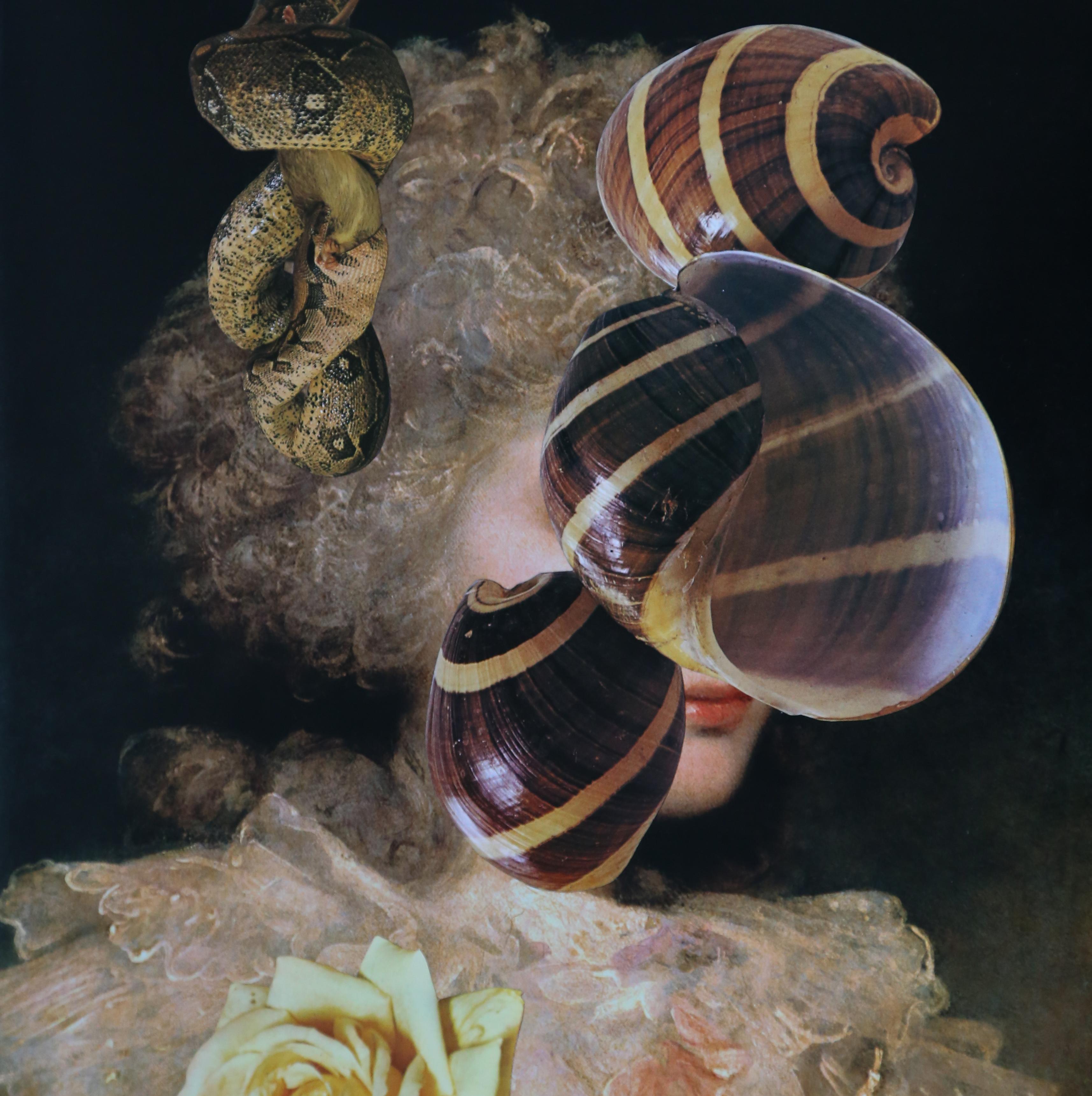 An interview with artist Linder Sterling | The Arts Society